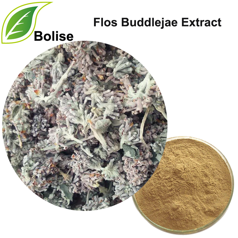 Flos Buddlejae Extract(Pale Butterflybush Frower Extract) Suppliers ...