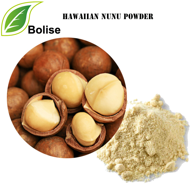Hawaiian Nunu Extract Suppliers,Macadamia Extract Manufacturers from Bolise