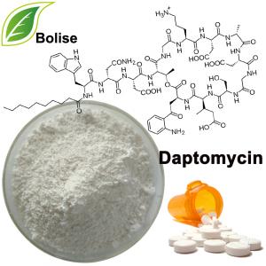Daptomycin Cas 103060-53-3 Price,Supplier from Bolise