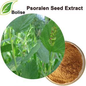 Psoralen Seed Extract Suppliers,Manufacturers from Bolise