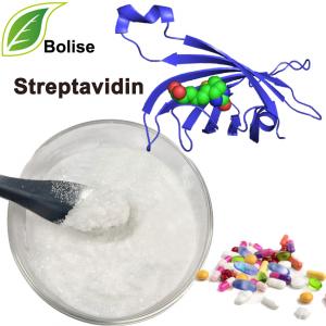Streptavidin Cas 9013-20-1 Price,Supplier from Bolise