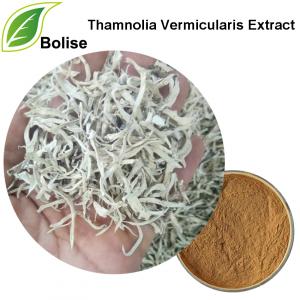 Thamnolia Vermicularis Extract Suppliers,Manufacturers,Exporters from ...
