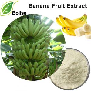 Dried Banana Fruit Extract Suppliers,Manufacturers from Bolise