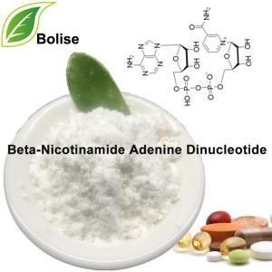 Beta-Nicotinamide Adenine Dinucleotide Cas 53-84-9 Price,Supplier from Bolise