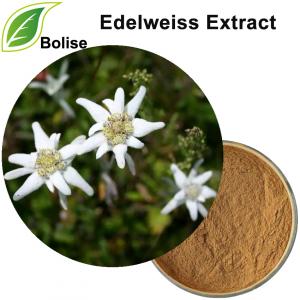 Edelweiss Extract Suppliers,Manufacturers from Bolise