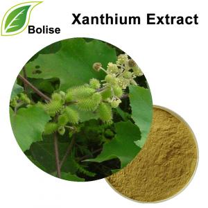 Xanthium Extract Suppliers,Manufacturers from Bolise