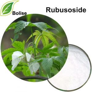 Rubusoside Suppliers,Manufacturers from Bolise