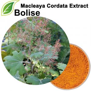 Macleaya Cordata Extract 60% Sanguinarine Suppliers,Manufacturers